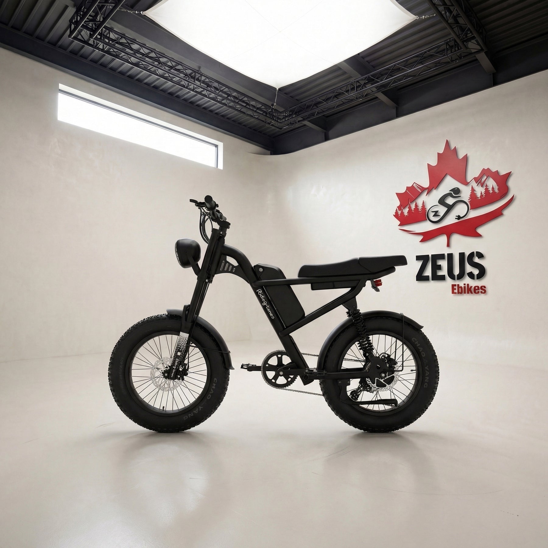 Z8 Moped-Style Electric Bike (Z8 / Z8S / Z8 Pro) | Fat Tire eBike ...
