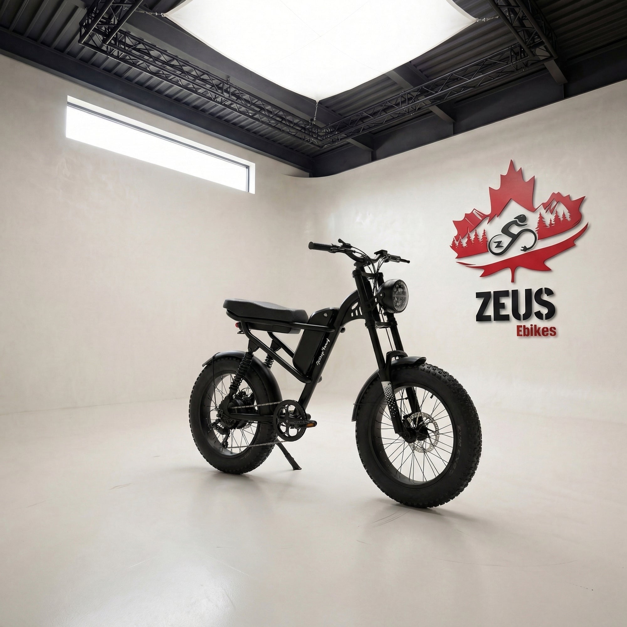 Z8 Moped-Style Electric Bike (Z8 / Z8S / Z8 Pro) | Fat Tire eBike ...