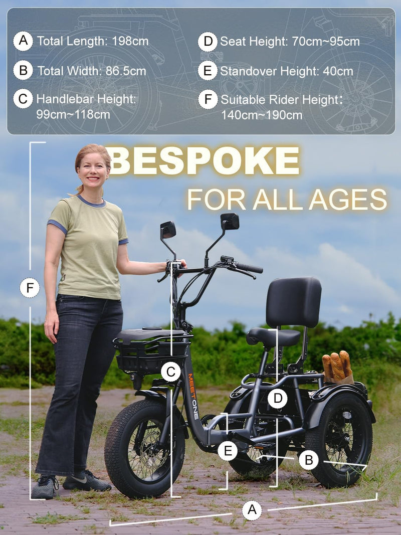 Meet One Breeze Folding Electric Trike – Zeus Ebikes Canada
