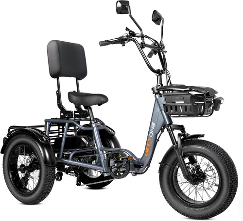 Meet One Breeze Folding Electric Trike – Zeus Ebikes Canada