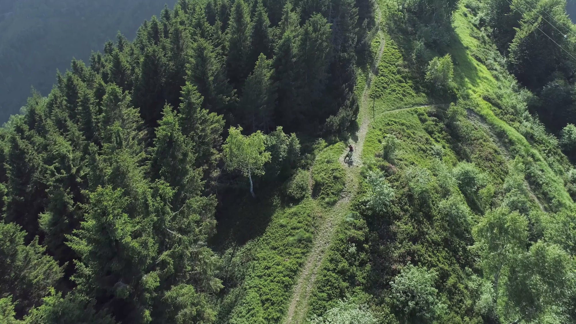 Zeus Ebikes Canada – Zeus Ebikes Canada