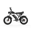 RideStar Q20 1000W Fat Tire Retro Ebike Canada – Zeus Ebikes Canada